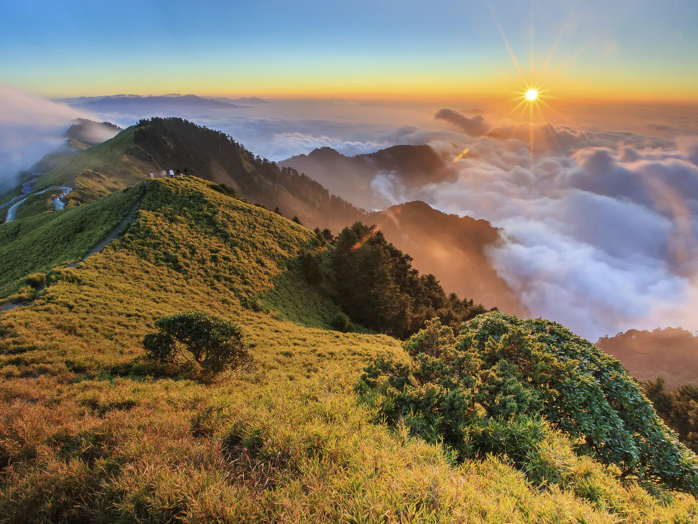 Нове дослідження показало що гори на Тайвані ростуть швидше ніж